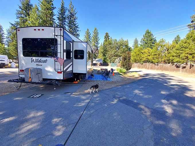 RV living in Quincy means waking up to pine-scented mornings and starlit evenings&mdash;nature's version of five-star accommodations.