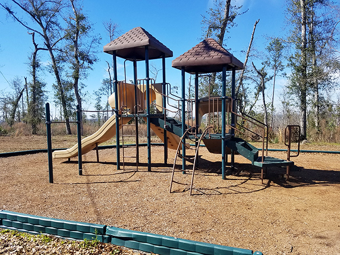 Playground equipment: where kids burn energy and parents silently thank park planners for including something besides "more hiking."