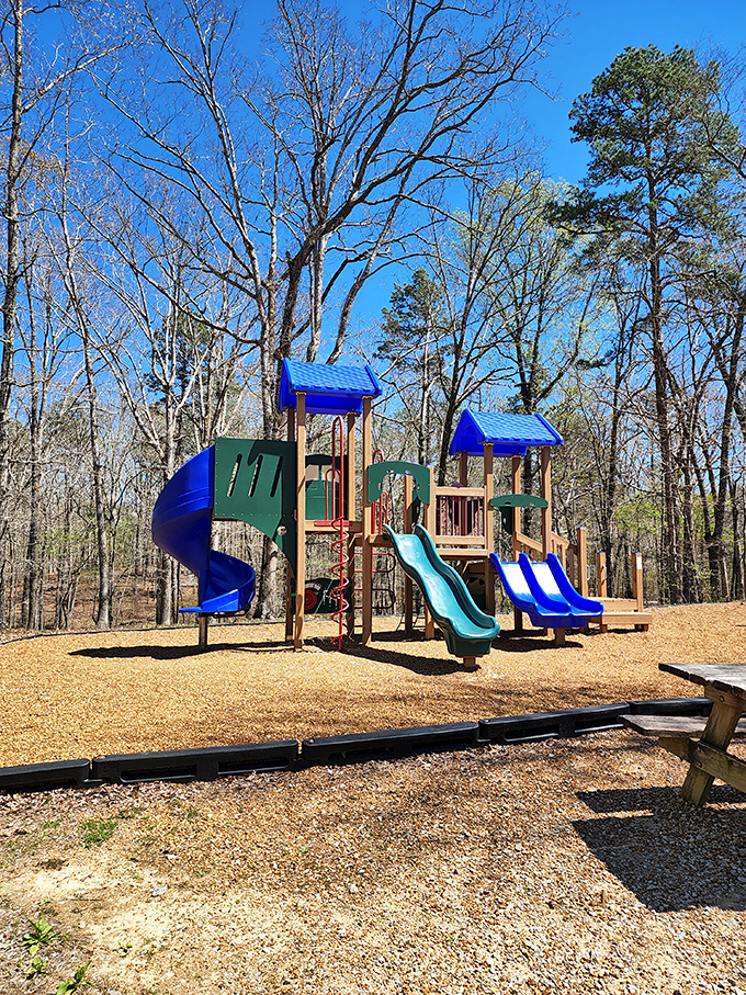 Childhood joy engineered in wood and plastic&mdash;this playground sits ready for the kind of adventures that don't require charging cables or software updates.