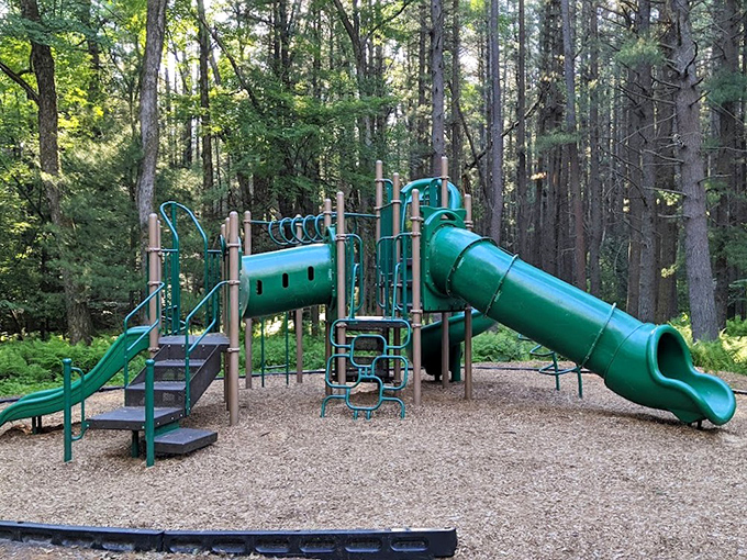 Kids' paradise nestled among towering pines. Remember when playground equipment was this simple and we still had a blast?