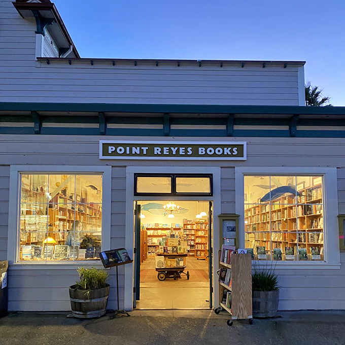 Books that aren't chosen by an algorithm. Point Reyes Books glows like a literary lighthouse, beckoning bibliophiles with the promise of discovery.