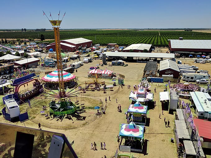 The Porterville Fair transforms ordinary fairgrounds into a kaleidoscope of joy, where carnival rides spin against a backdrop of fertile farmland.