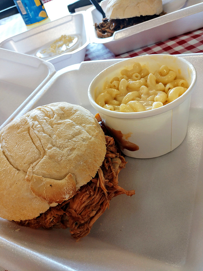 The pulled pork sandwich and mac & cheese combo&mdash;proof that sometimes the simplest pleasures are the most profound.