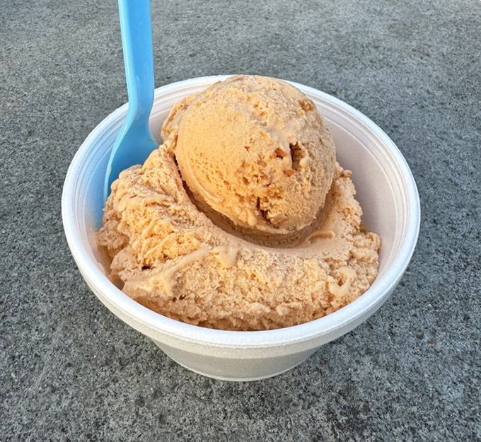 Pumpkin cheesecake ice cream that makes you question why pumpkin spice ever bothered with coffee when this was its true calling.