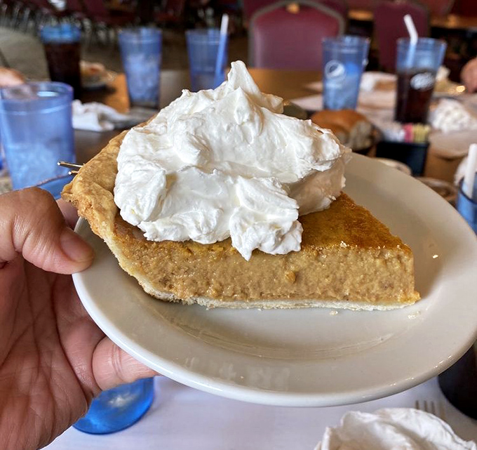 Pumpkin pie that doesn't know it's not Thanksgiving. That whipped cream mountain isn't just decoration—it's a necessary structural element.