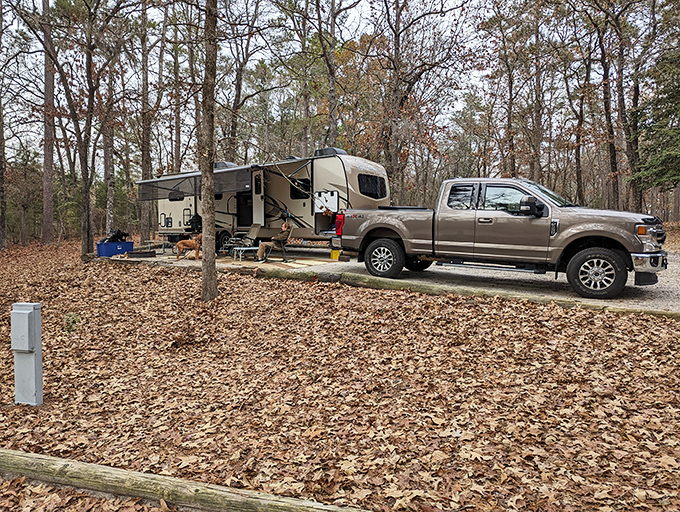 RV camping: where "roughing it" means your kitchen is slightly smaller than usual, but your backyard is 307 acres of pure tranquility.