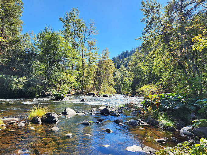 The Sacramento River flows crystal clear through Dunsmuir, creating nature's perfect soundtrack for afternoon contemplation or morning coffee enlightenment.