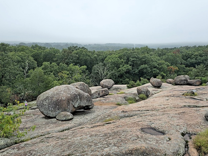 Where Missouri serves up panoramic views that rival anything on the coasts, minus the traffic and exorbitant parking fees. 