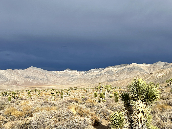 This rustic stone shelter looks like it's auditioning for a Hemingway novel&mdash;rugged, weathered, and with stories to tell.