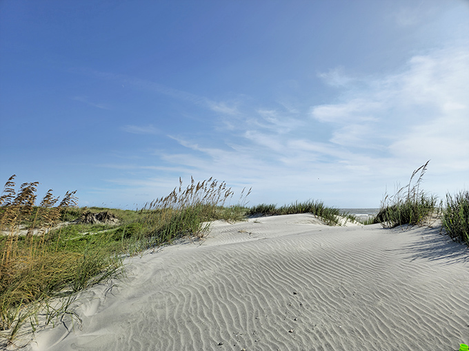 Nature's perfect ripples etched in sand. Sea oats stand guard over dunes that have been sculpted by wind, one grain at a time.