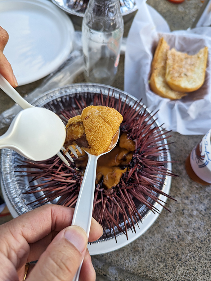 Sea urchin on ice, looking like underwater flowers that taste like the ocean's secret handshake with butter.