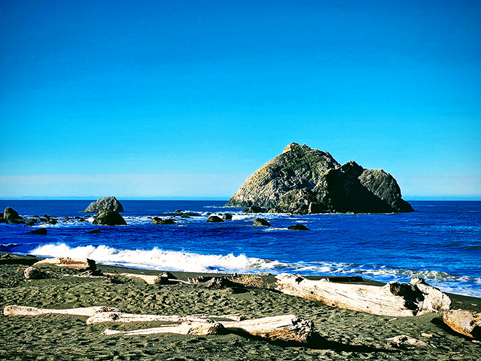 Where forest meets ocean, two of nature's greatest masterpieces shake hands in perfect coastal harmony.