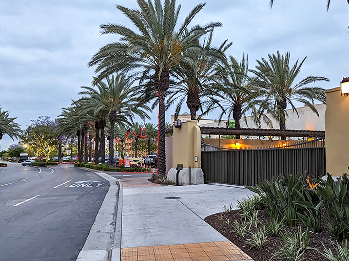 Palm-lined entrance to Citadel Outlets at dusk, where string lights twinkle like stars guiding shoppers to retail paradise.