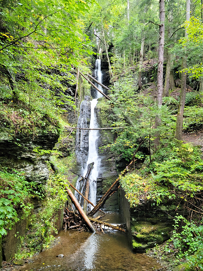 Silverthread Falls slices through the forest with the delicate precision of a master chef plating a signature dish.