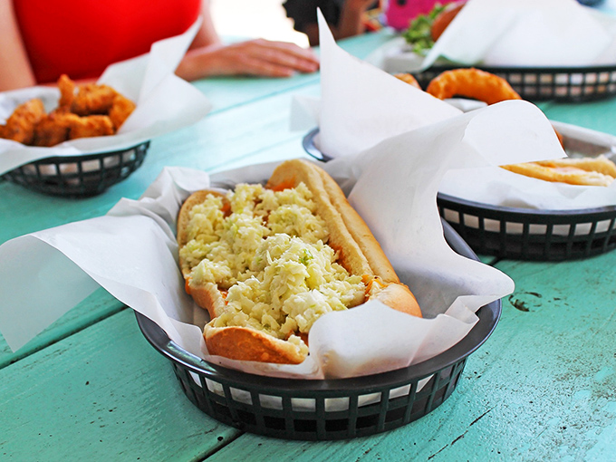 Slaw dog perfection in its natural habitat. This humble masterpiece proves simplicity still rules in an over-complicated food world.