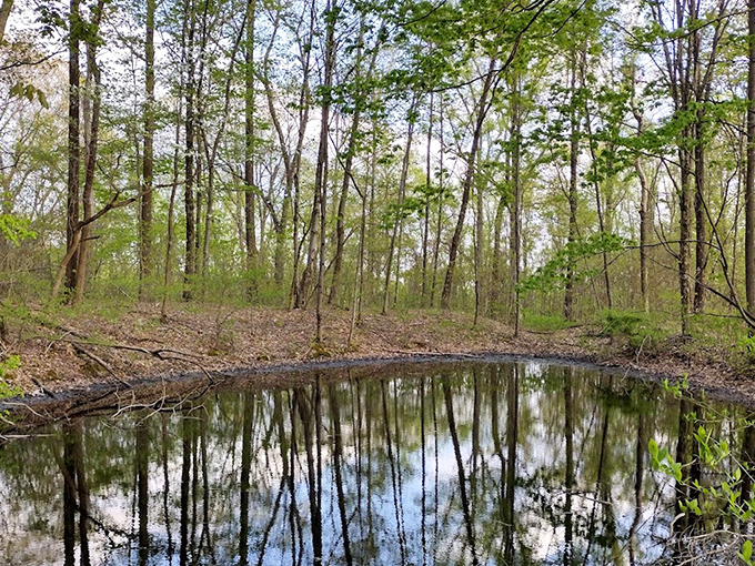 Nature's infinity pool, Appalachian style. This secluded woodland pond reflects the sky so perfectly you'll wonder where water ends and heaven begins. 