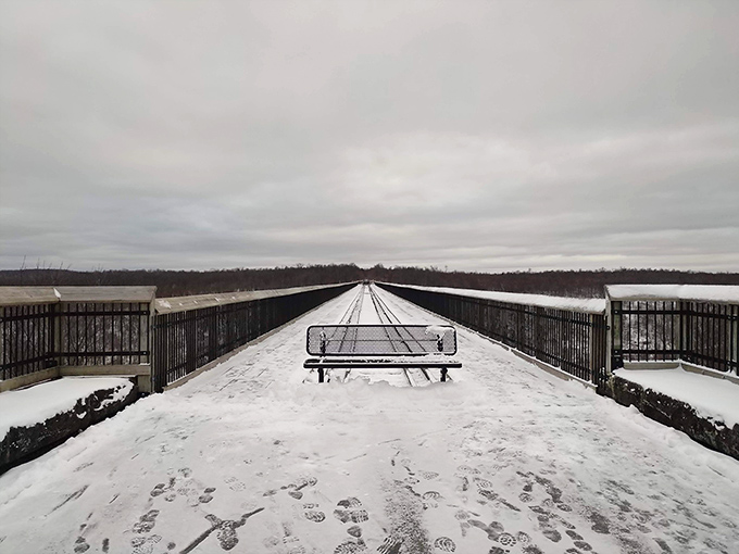 Winter's silent transformation. Snow blankets the Skywalk, turning the industrial marvel into a serene pathway through Pennsylvania's frozen landscape.