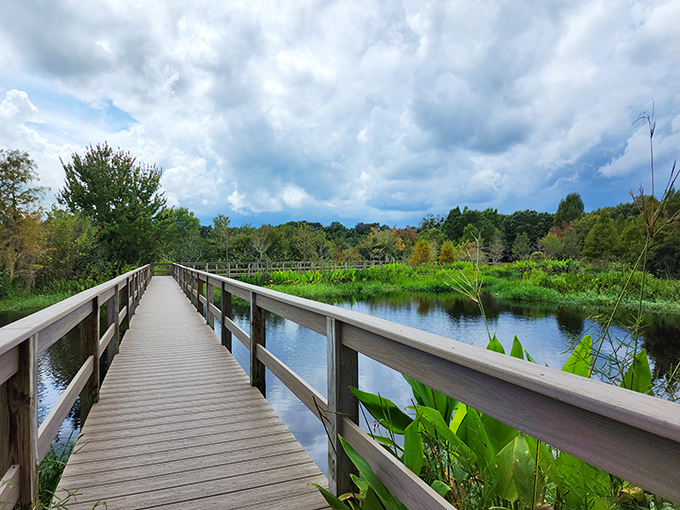 Nature trails that don't require mountain-climbing skills &ndash; just peaceful boardwalks where the only traffic is the occasional turtle crossing.