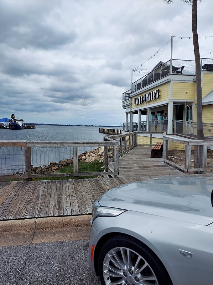 Waterfront dining where your meal comes with a side of spectacular views &ndash; and possibly a dolphin cameo if you're lucky.