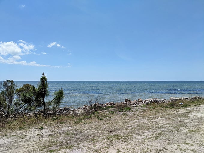 The quintessential coastal view that makes you forget deadlines exist. St. Joe Beach's gentle waves are nature's stress medication.