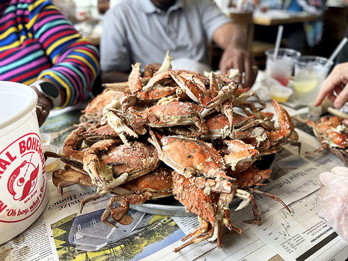 The mountain of steamed crabs isn't just a meal&mdash;it's an event, a celebration, a delicious puzzle waiting to be solved with mallets and determination.
