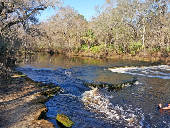 Steinhatchee Falls offers Florida's version of a mountain cascade &ndash; gentle limestone steps where the river whispers secrets to those who pause to listen. 