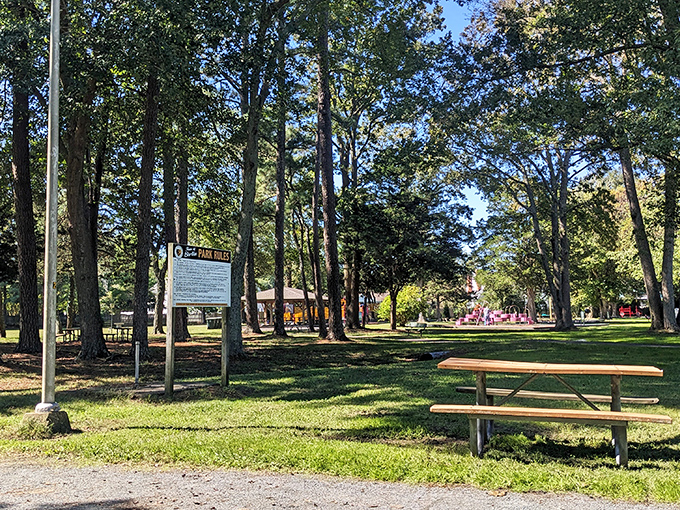 Stephen Decatur Park provides that perfect blend of shade trees and open spaces where grandkids can burn energy while grandparents conserve theirs on convenient benches.