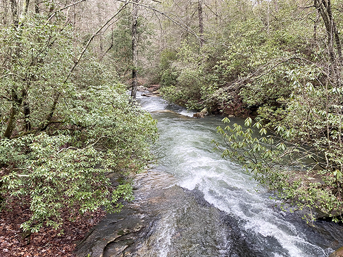 Sitton's Gulch Creek doing what water does best &ndash; creating its own path through the wilderness with refreshing determination.