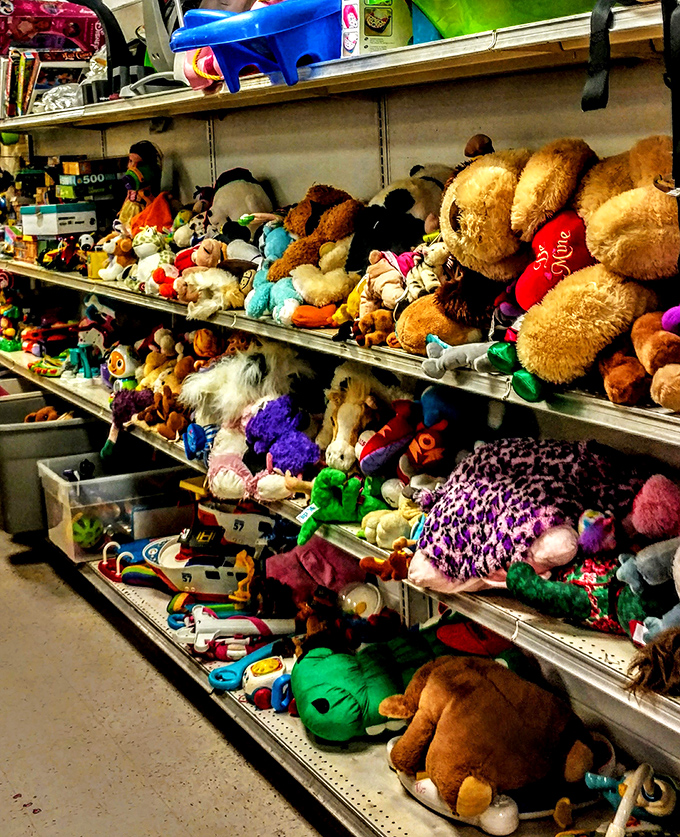 These fuzzy friends have more patience than you waiting for your grandkids to visit &ndash; and they're softer.