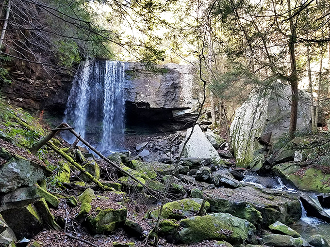 Suter Falls doesn't just flow&mdash;it dances down the rock face. The kind of place that makes you whisper instead of talk, nature's cathedral in full glory.
