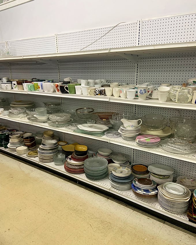 Dish paradise! Every plate tells a story, every mug had a life before this shelf. Someone's former china set could be your new conversation starter.