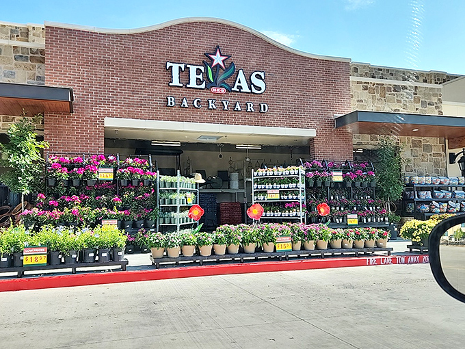 At Texas Backyard, garden dreams bloom in technicolor. Even folks who've killed plastic plants find themselves suddenly believing in their green thumb potential.