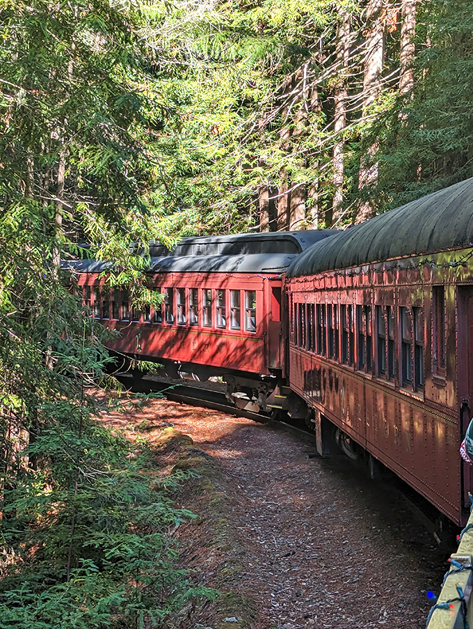 The historic Skunk Train winds through redwood forests, offering views you can't get from any highway&mdash;unless you're an extremely lost driver.
