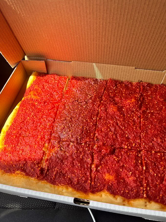 The legendary tomato pie—Delaware's answer to pizza—sits like a crimson crown jewel in its humble cardboard throne.