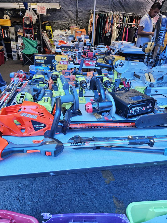 Power tools spread like precious gems, each one waiting for its next weekend project.
