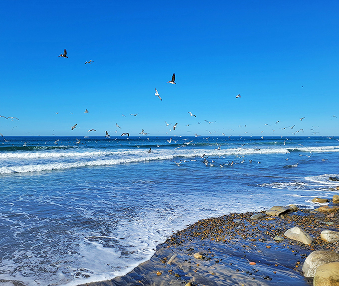 Where the Pacific meets poetry &ndash; Torrey Pines Beach offers the kind of waves and wide-open shoreline that make surfers wax philosophical.