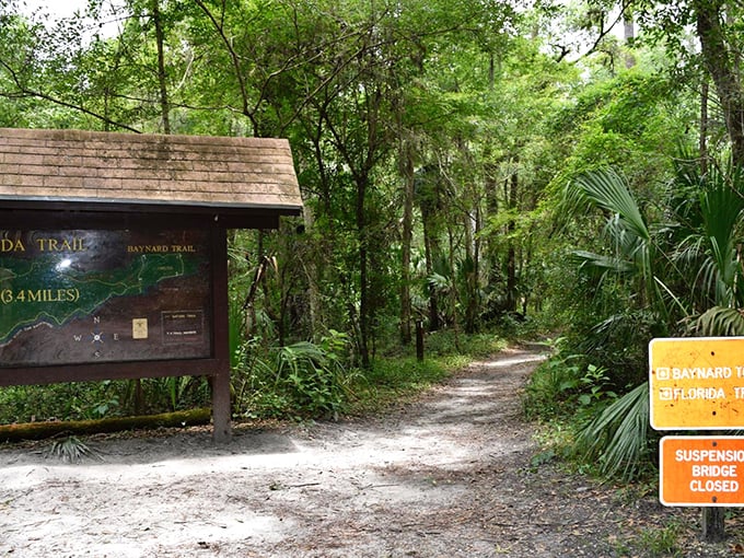 Trail markers promise adventure ahead. The "Suspension Bridge Closed" sign just adds mystery to what lies beyond the bend.