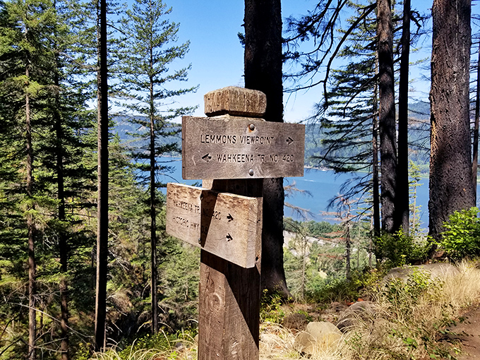 Choose your own adventure! These weathered trail signs have pointed thousands of hikers toward unforgettable Gorge experiences.