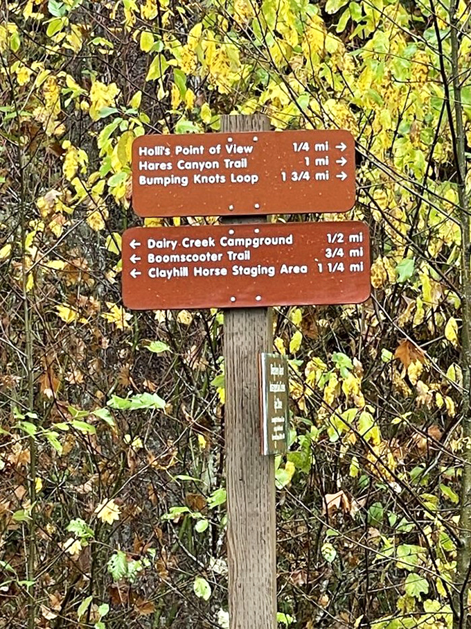 Trail markers that actually tell you where you're going—a revolutionary concept for anyone who's ever been "temporarily misplaced" in the woods.