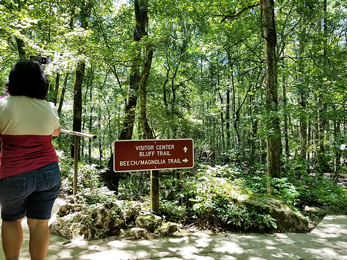 Choose your adventure at the crossroads of exploration. These well-marked trails promise discoveries both above and below ground.