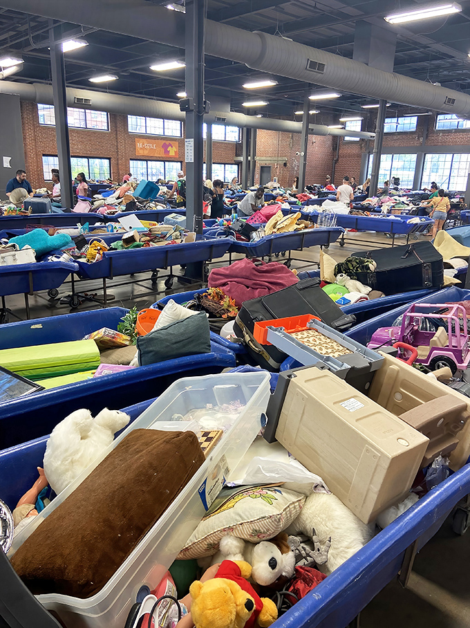 Organized chaos at its finest. Each bin tells a hundred stories&mdash;the stuffed animals alone could write a children's book about their journey here.