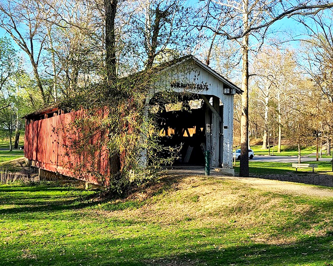 The Vermont Bridge offers that perfect blend of rustic charm and engineering that makes you wonder why we stopped building beautiful things just because they're functional.