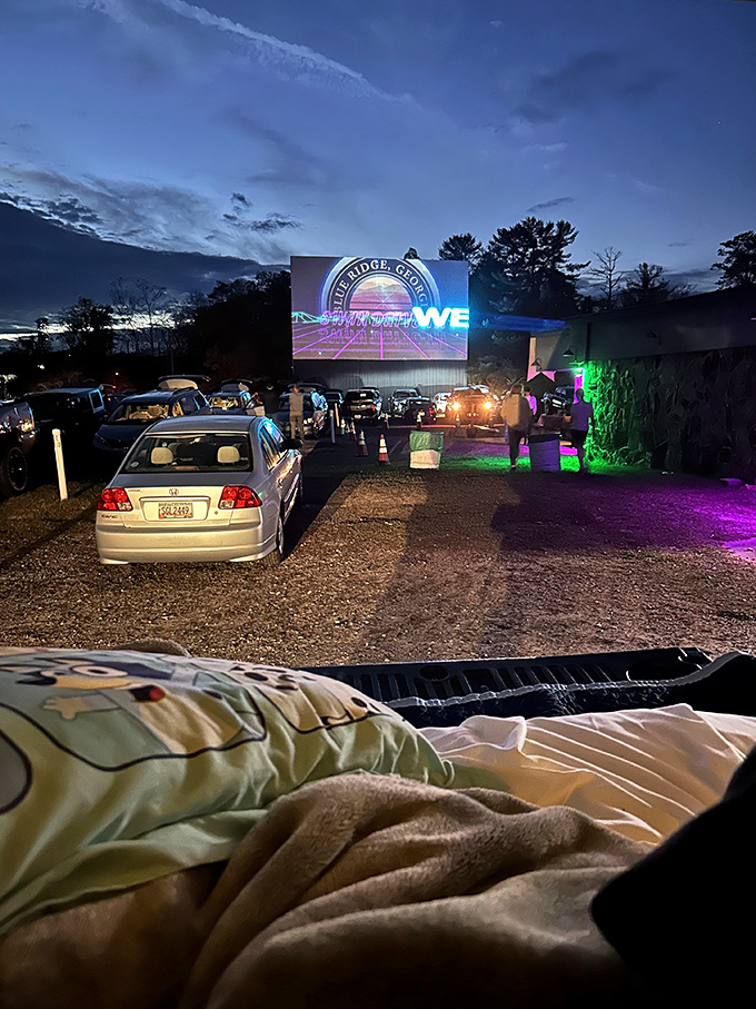 Blankets, pillows, and a movie under the stars&mdash;the Swan Drive-In perfects the art of watching films horizontally, as nature intended.