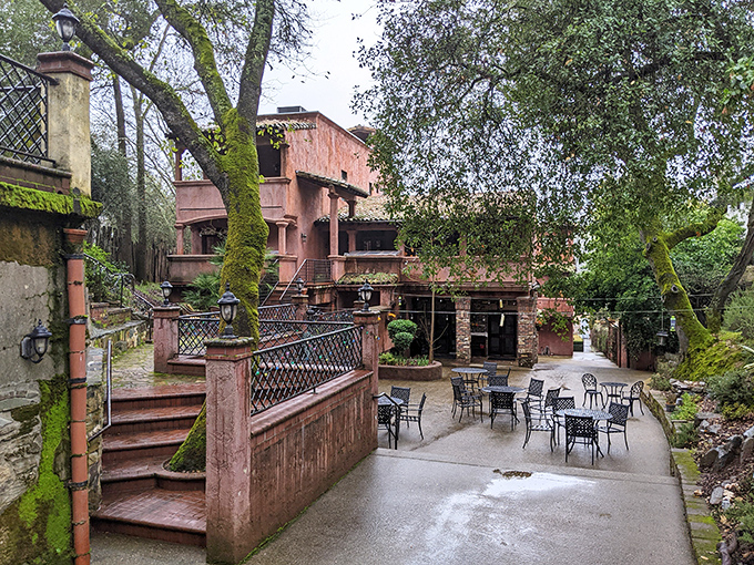 Villa Privata's moss-kissed stairways and terracotta charm transport you to Tuscany without the transatlantic airfare. Budget travel at its finest.