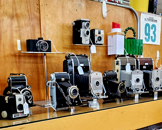 These vintage cameras once captured family vacations and first days of school. Now they're artistic relics from when "developing photos" meant something entirely different.