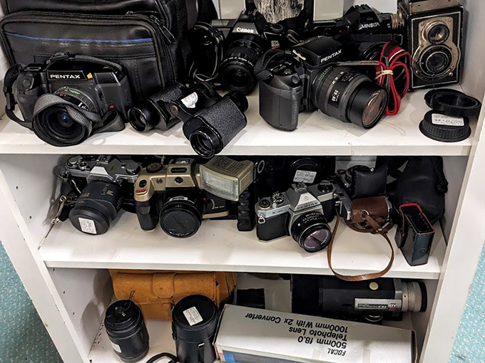 Canon and Pentax cameras huddle together, each one capturing thousands of family moments in their day.