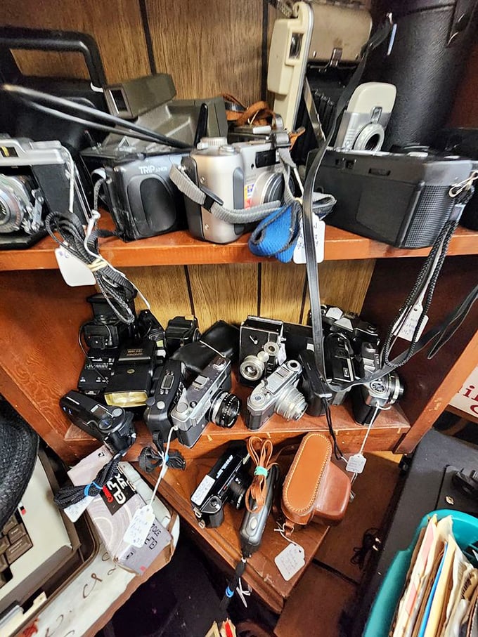 A photographer's dream corner &ndash; these vintage cameras once captured family vacations, first steps, and wedding days long before the age of selfies.