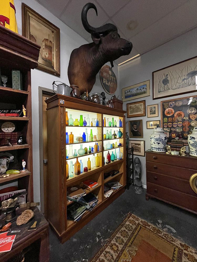 This illuminated cabinet of colorful vintage bottles sits beneath a watchful buffalo&mdash;proof that lighting makes all the difference in antique displays.