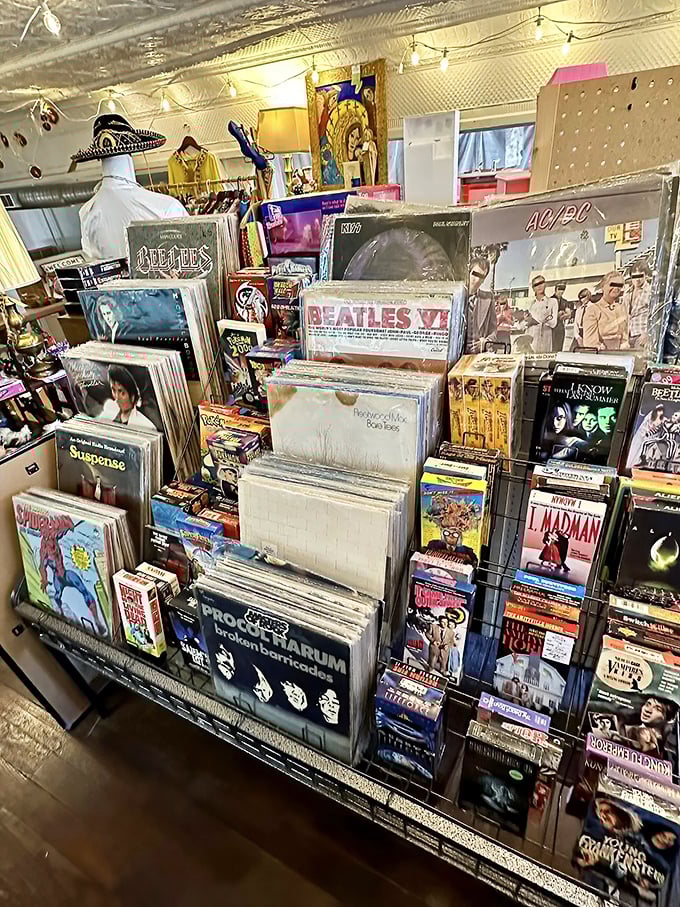 Vinyl heaven for analog souls – where Beatles albums and forgotten one-hit wonders share shelf space in perfect harmony.