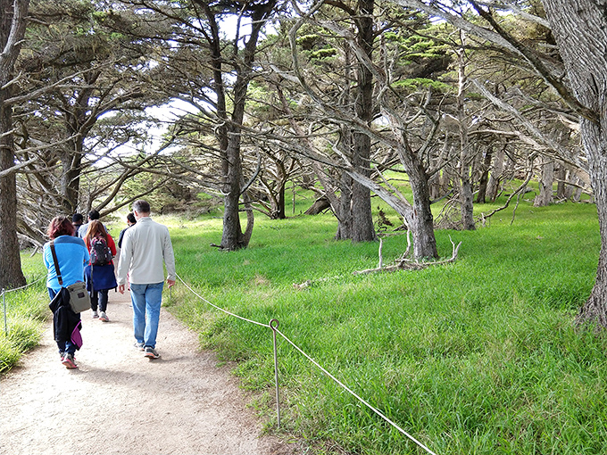 Fellow explorers navigate the gentle trails, proving you don't need to scale Everest to find natural wonder. The casual hiker's equivalent of striking gold.
